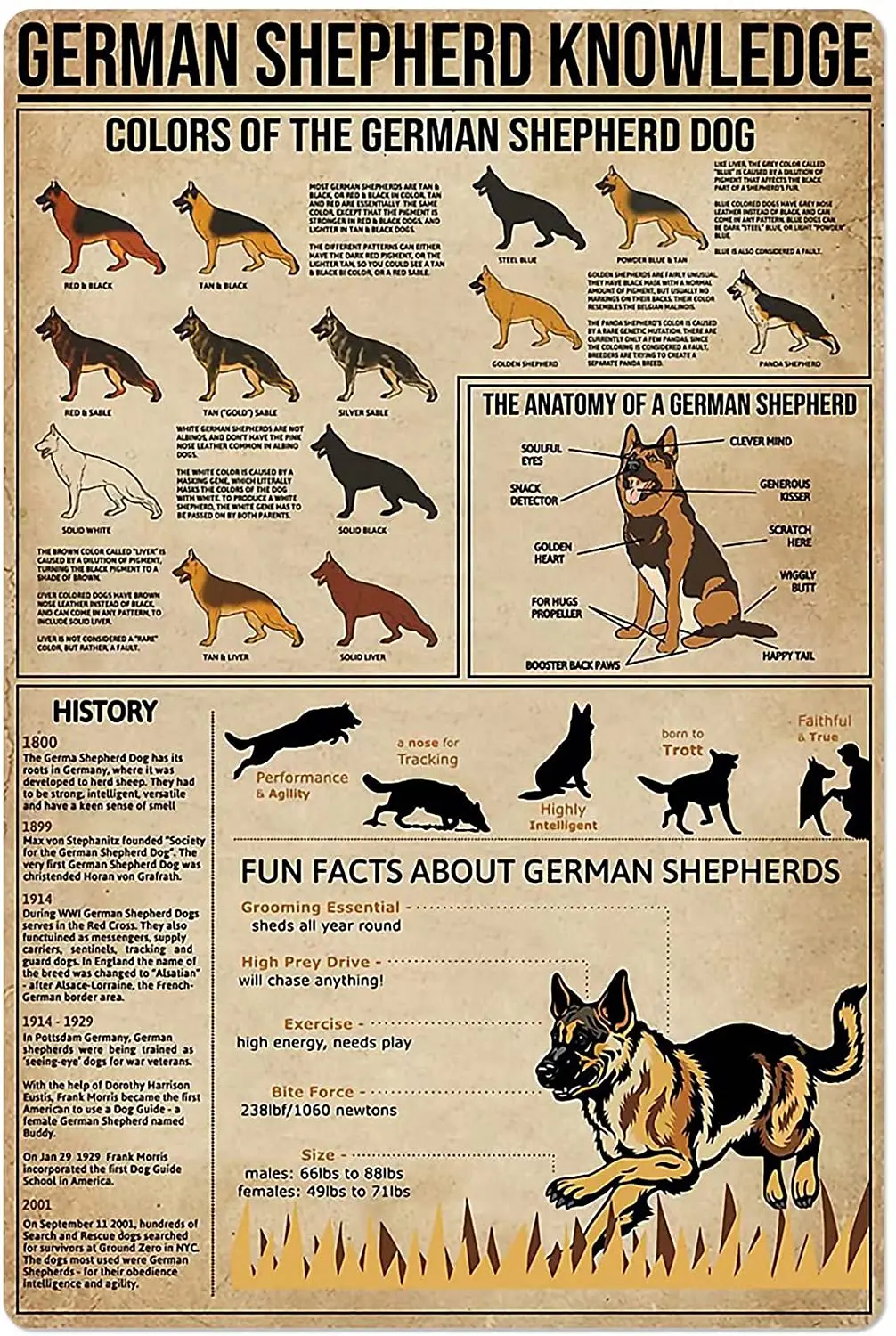Dog Knowledge Metal Tin Sign German Shepherd Anatomy Color Aluminum ...