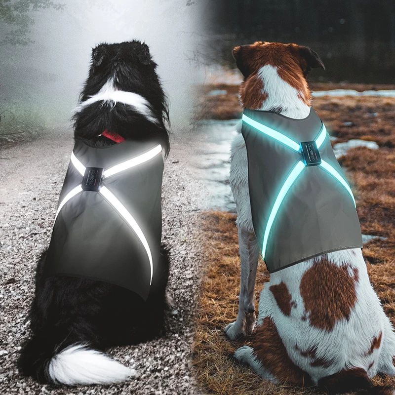 8-Speed-Flat-optic-Color-changing-LED-Pet-Reflective-Clothing-USB ...