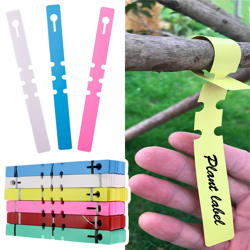 50-100pcs Waterproof Plant Markers Plastic Plant Hanging Tags Gardening ...