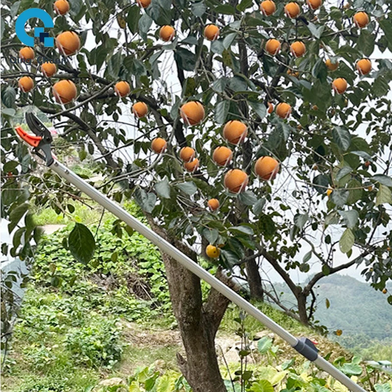 Fruit Picker Telescopic Elongated High Altitude Fruit Picker Shears ...