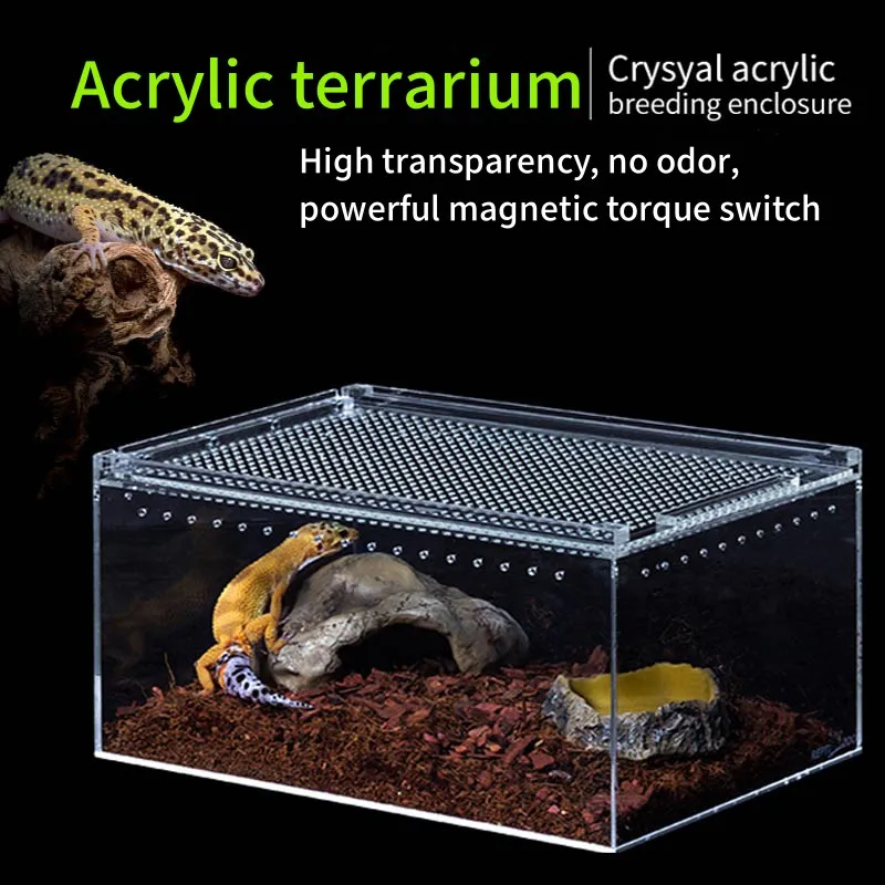 Pet Lizards Tanks