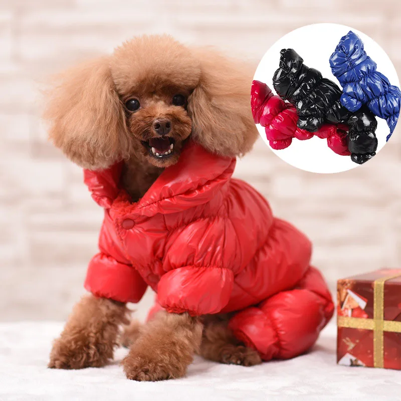 Winter-Clothes-For-Small-Dogs-Designer-Luxury-Dog-Clothes-Winter-Warm ...