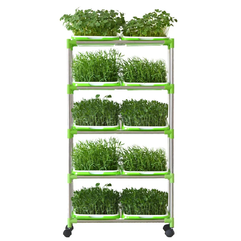 Hydroponic Vegetable Growing Trays Grower Seeding Nursery Pot Tray ...