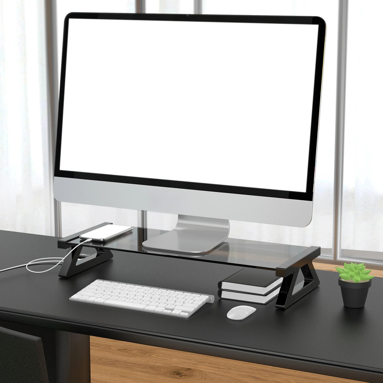 Ergonomics Computer Monitor