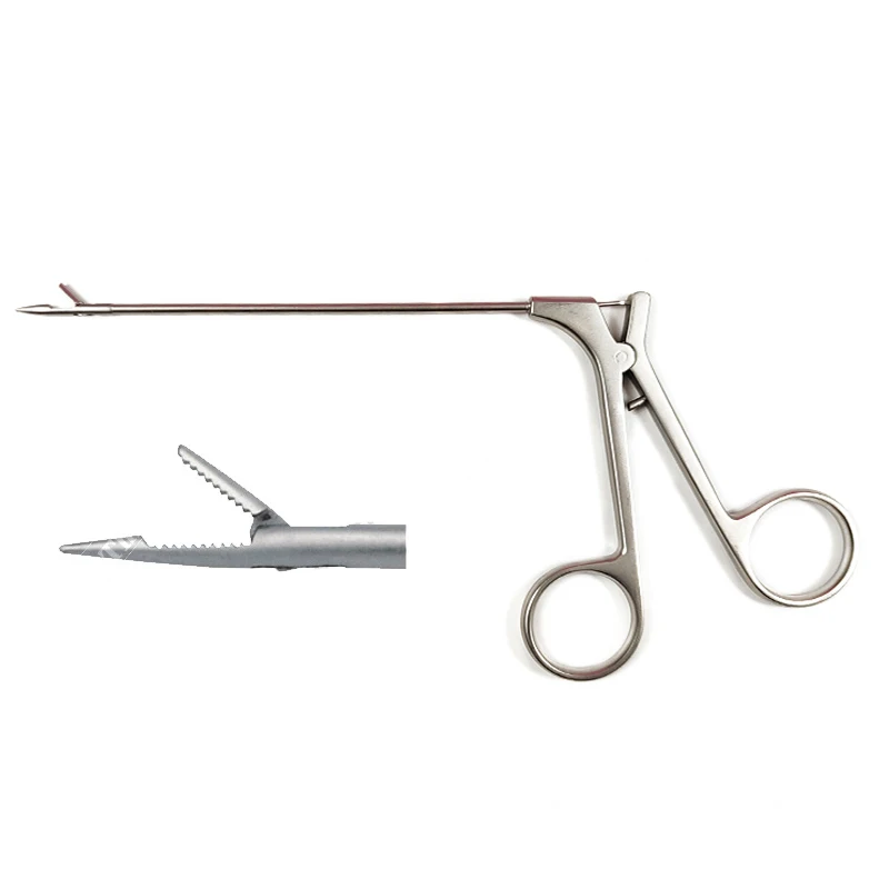 Science Forceps