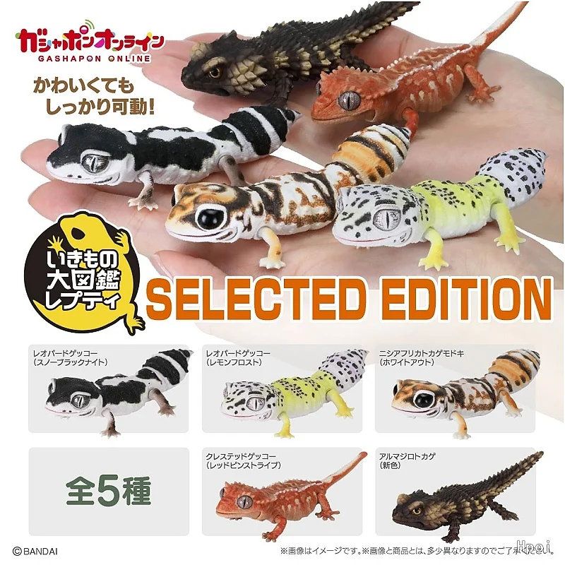반다이 트위스트 에그 생물학 백과사전 시뮬레이션 Fat Tail Shougong 눈썹 Shougong Armadillo 도마뱀 ...