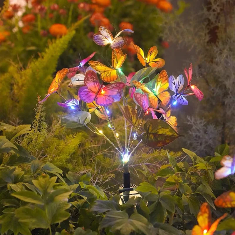 Leclstar Official Store