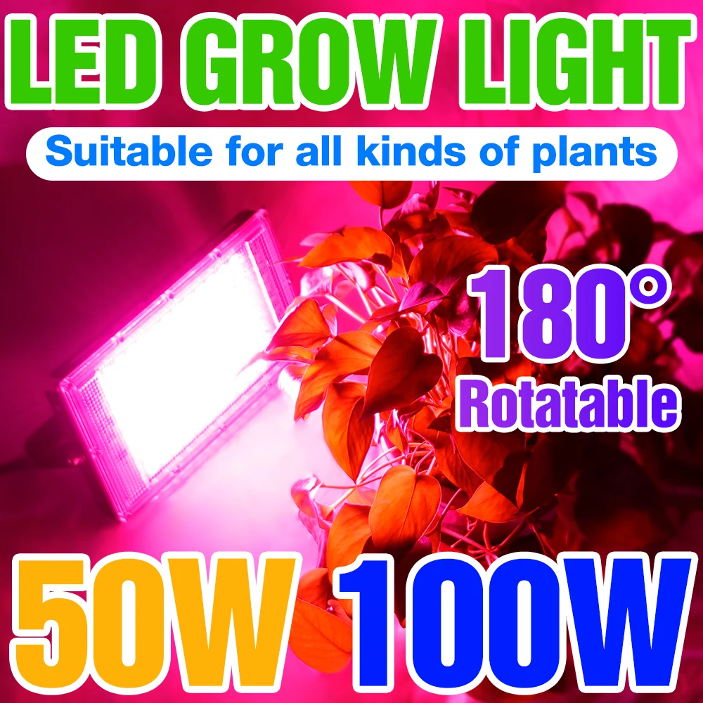 S7151e8a55aa64700bd689c93707da4f1Y.jpg