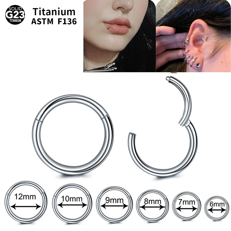 G23 Titanium Hinged Segment Nose Ring 16G 14G Segment Lip Ear Ring Hoop ...