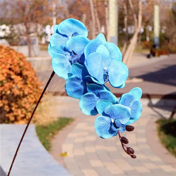 Blue Orchid Painting