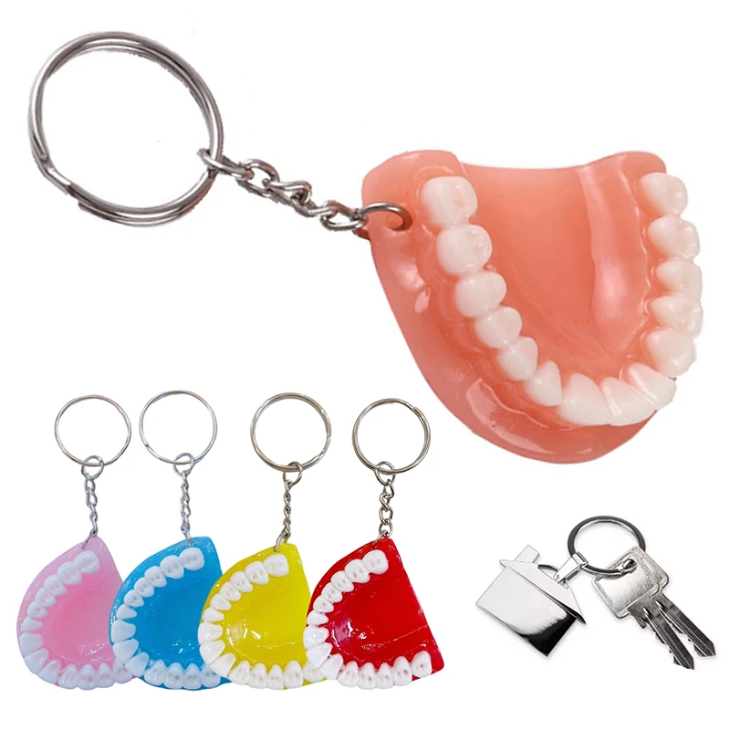 Resin-Molar-Upper-Jaw-Model-Shape-Denture-Keychains-Creative-Simulation ...