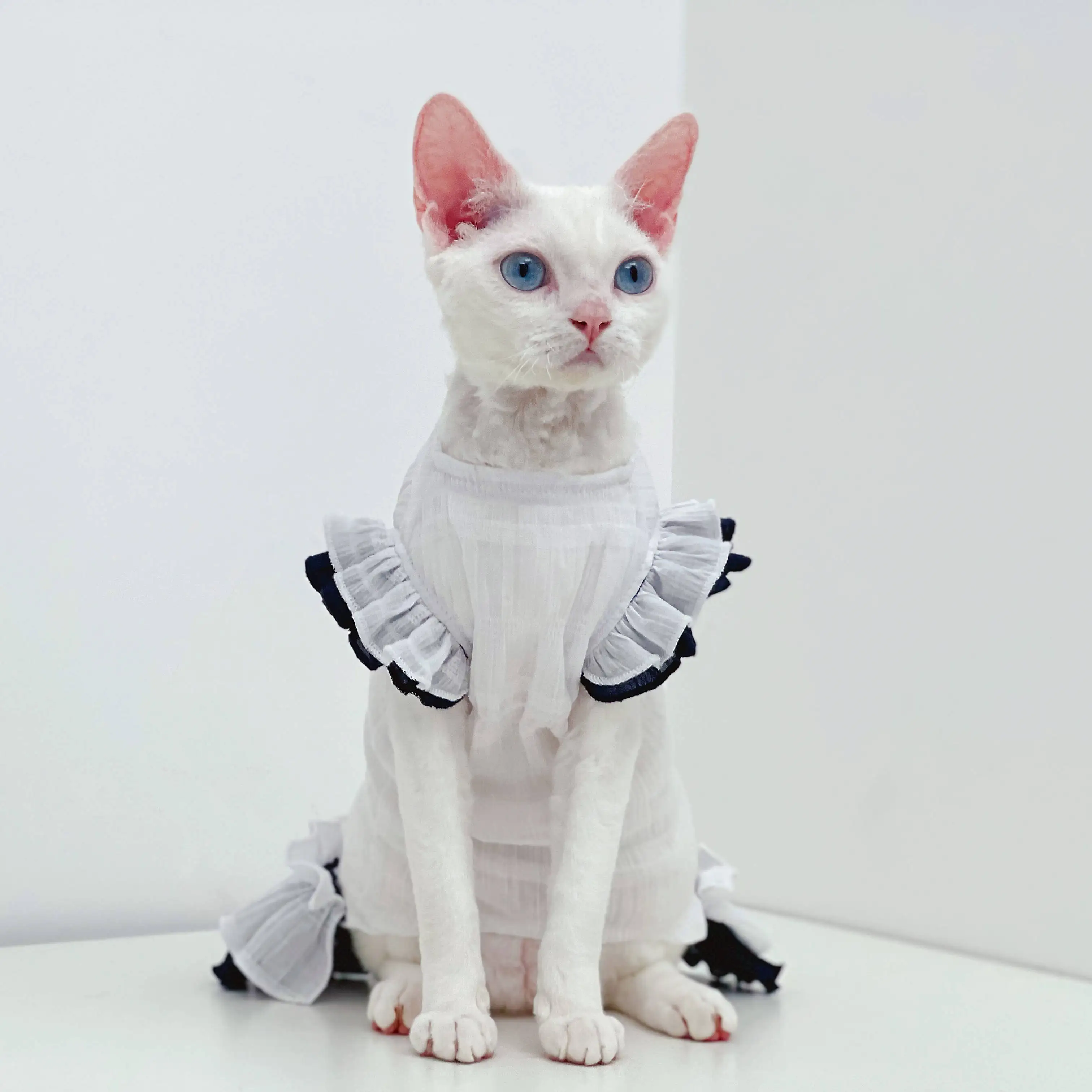 Одежда для кошек без волос, Летний Тонкий жилет из хлопка Devon Rex ...