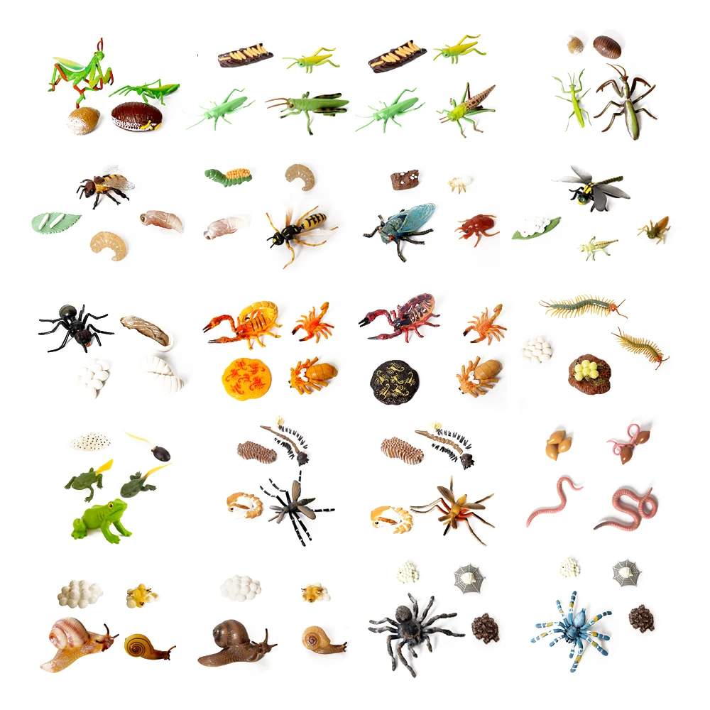 Figurine-Life-Cycle-Montessori-Education-Insect-Action-Figures-Animal ...