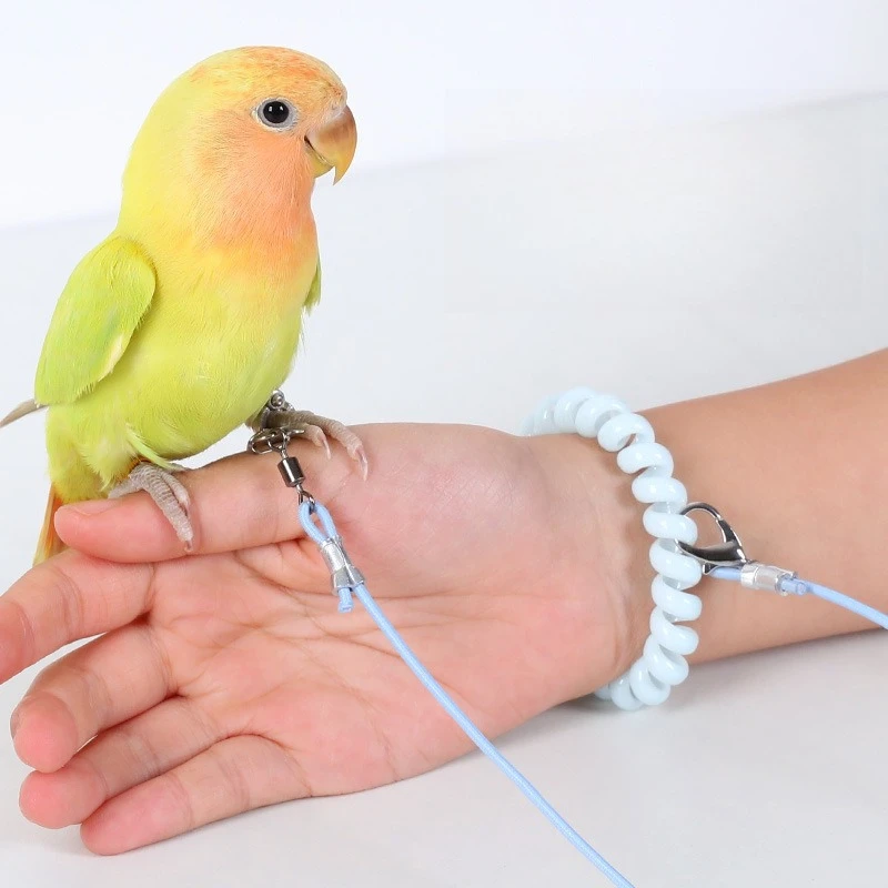 Parrot Bird Flying Training Leash Ultra-light Flexible Rope Anti-bite ...