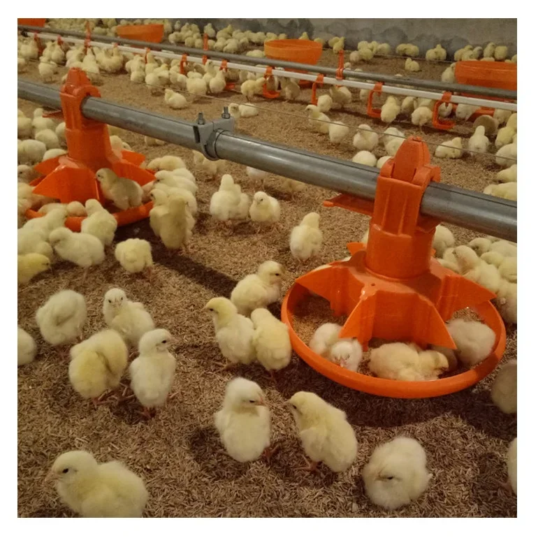 Automatic-Chicken-Waterer-and-Feeder-Set-Broiler-Equipment-Breeding ...
