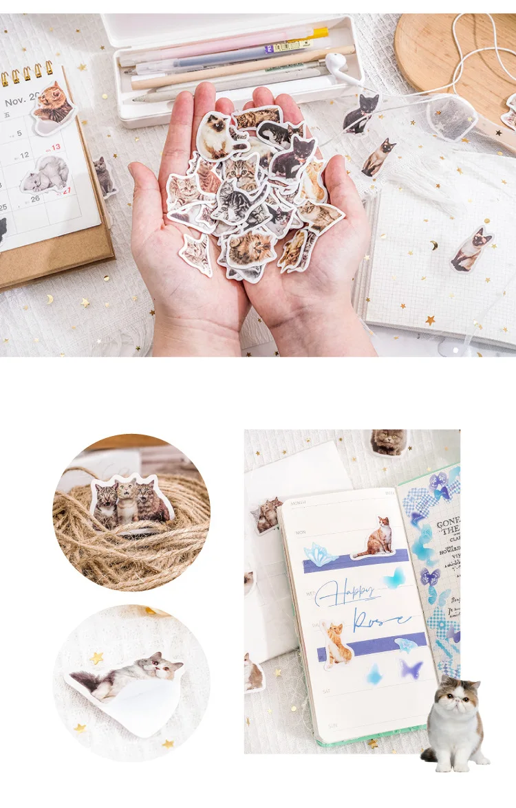 45pcs Cute Cat Selfie Decorative Box Stickers Scrapbooking Material ...