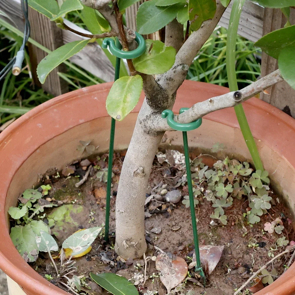 Plastic Plant Support Poles – Garden Exploration