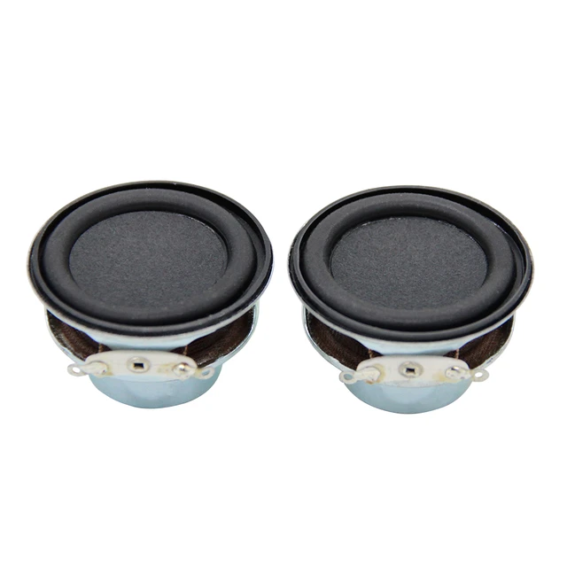Computer Speaker Internal