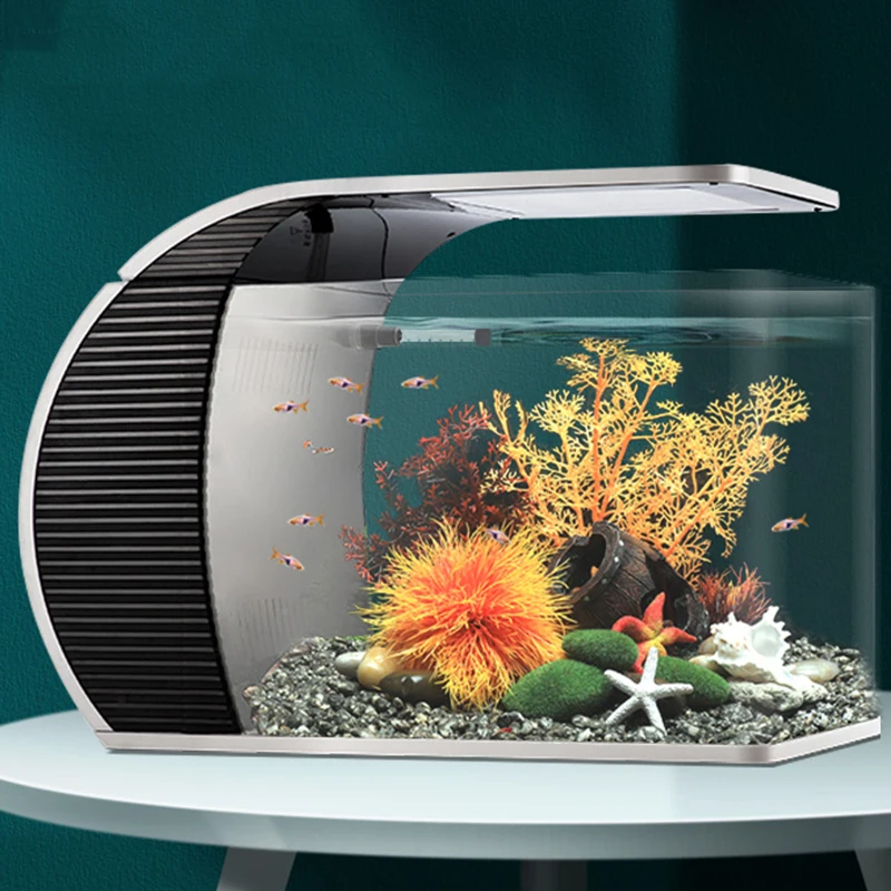 Cool Goldfish Tank