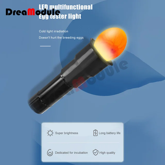 Duck Egg Under Flashlight