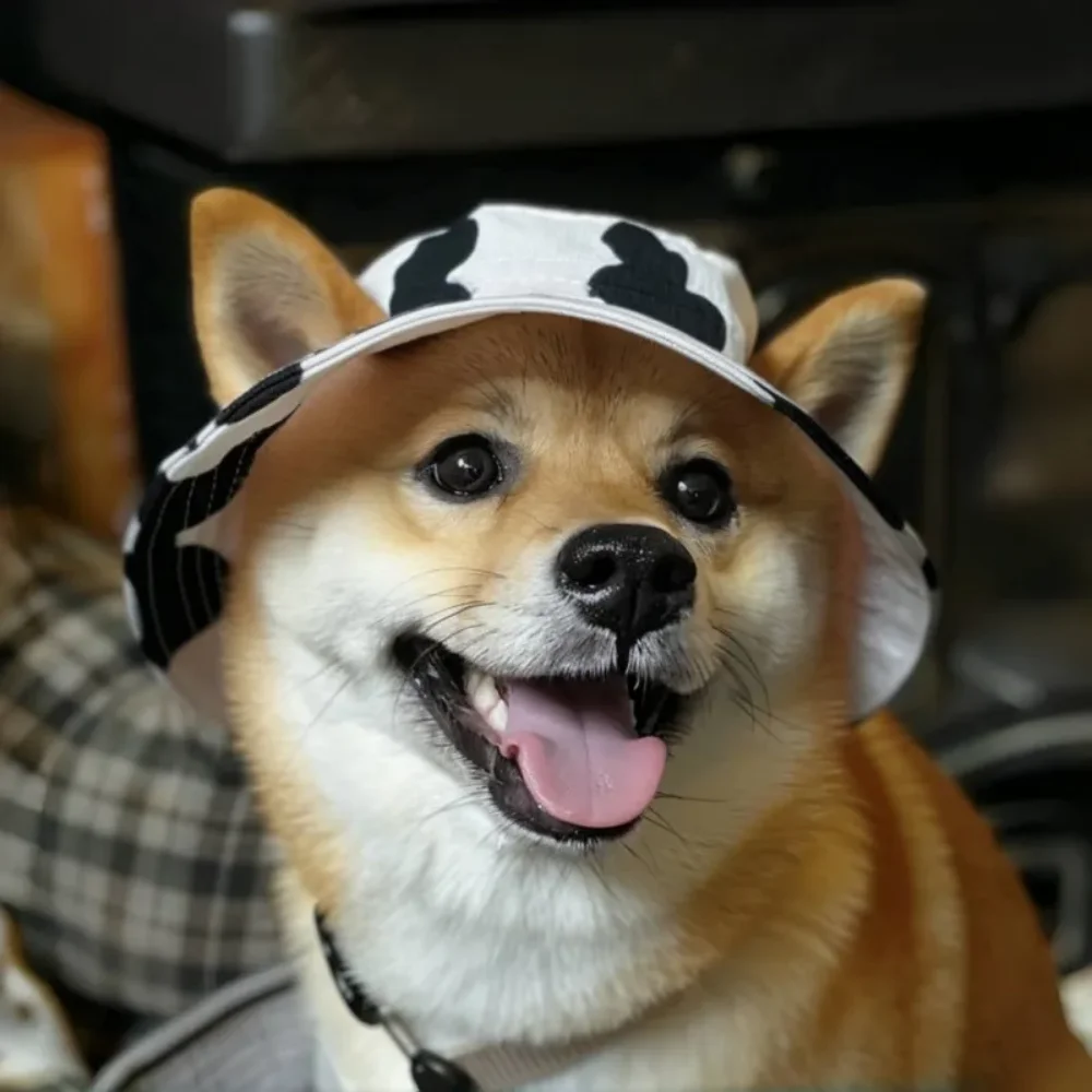 S71b54311d3eb40f198fc71d681b0b943V.png