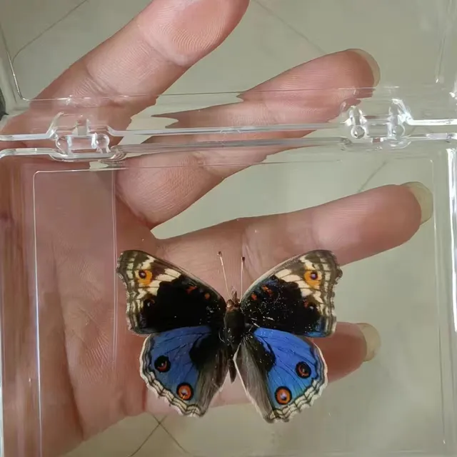 Store Home Products Feedback