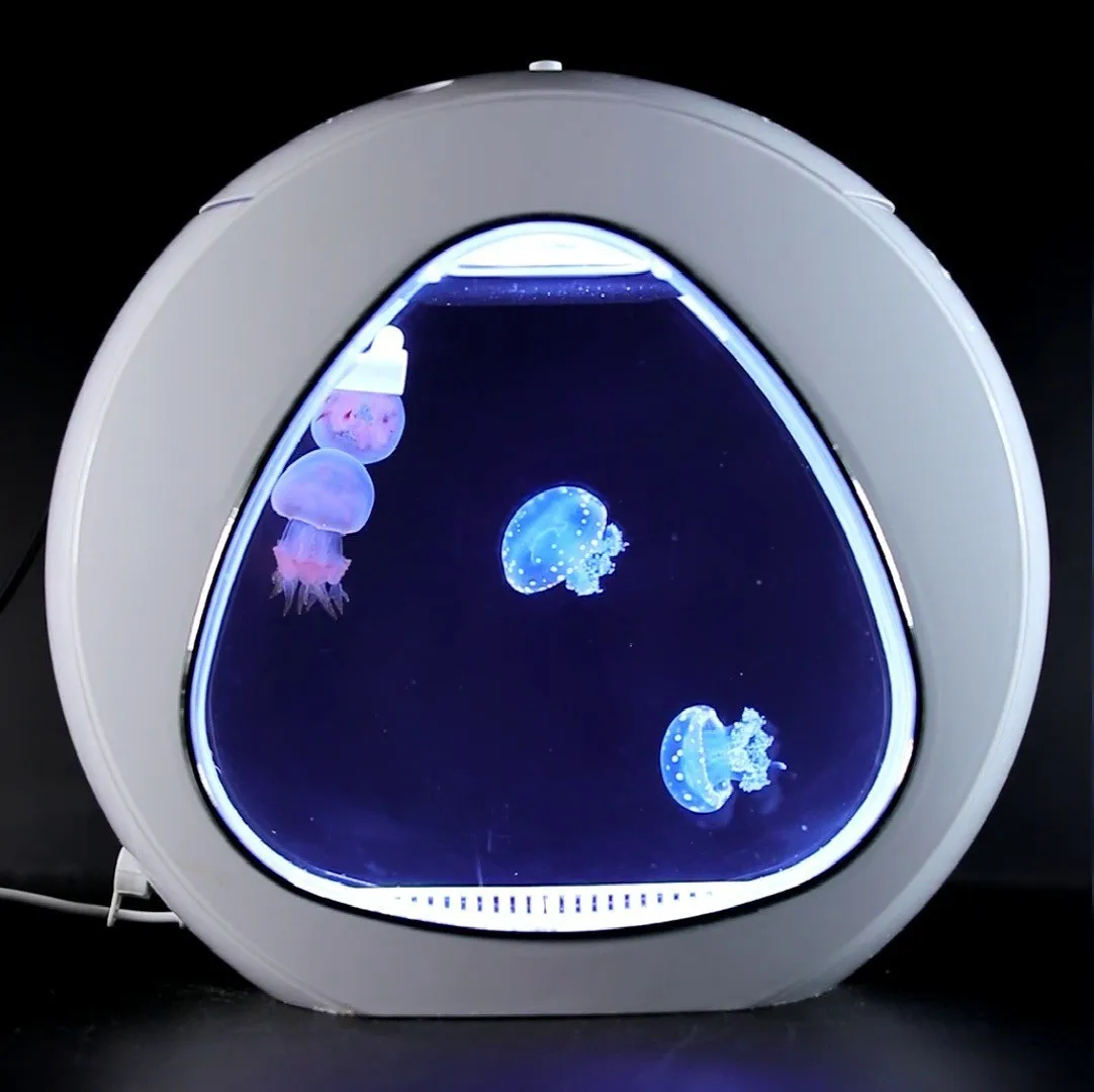 Desktop Jellyfish Aquarium