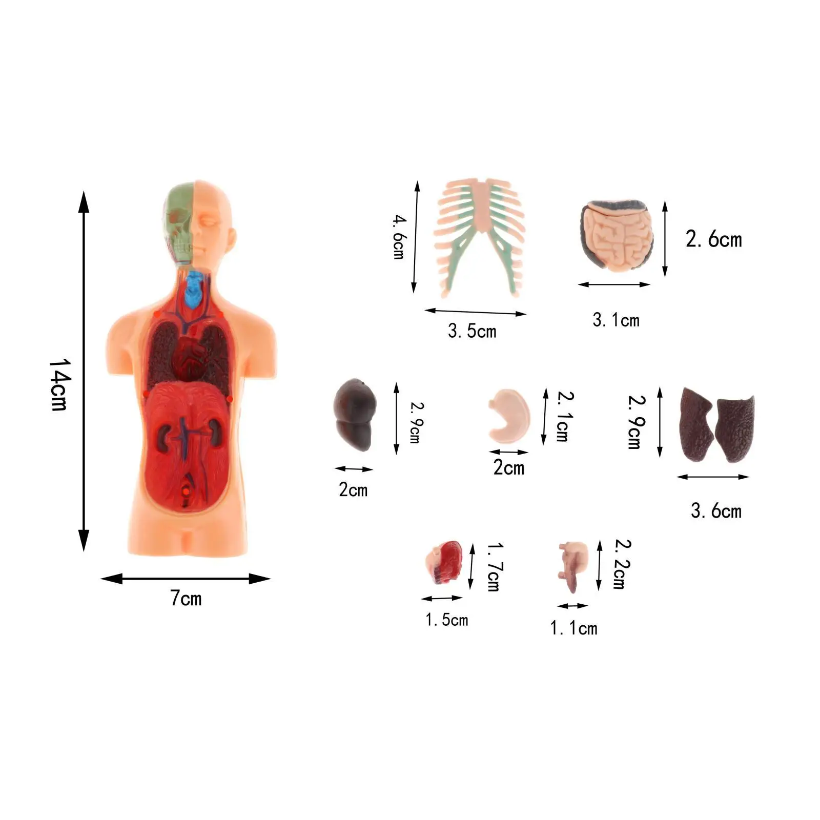 Store Home Products Esports Trends Feedback