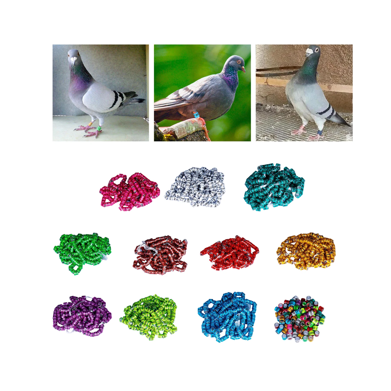 100Pcs-Aluminium-Pigeon-Leg-Rings-2024-Identify-Band-Professional ...