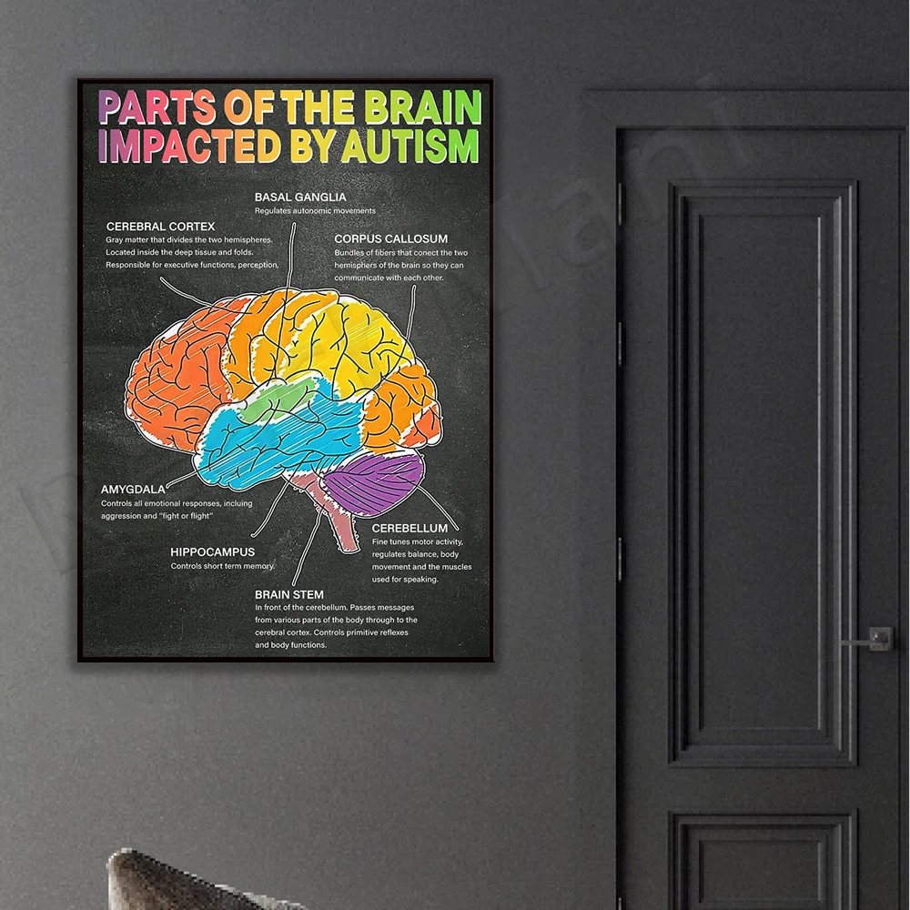 Autism Brain Affected