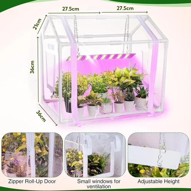 Tabletop Mini Greenhouses