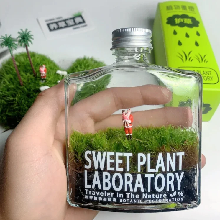 Whiskeyed-Moss-Plant-Ornament-Creative-Green-Mini-Ecosphere-Plant ...