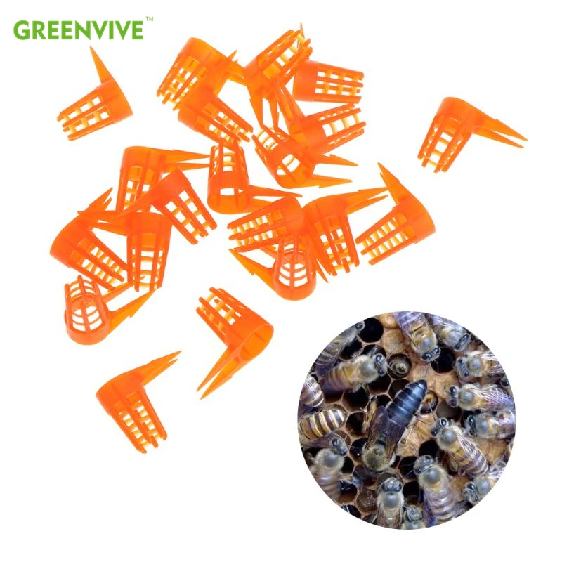 30Pcs-Queen-Bee-Plastic-Cage-Cap-Protective-Cell-Cover-Queen-Rearing ...
