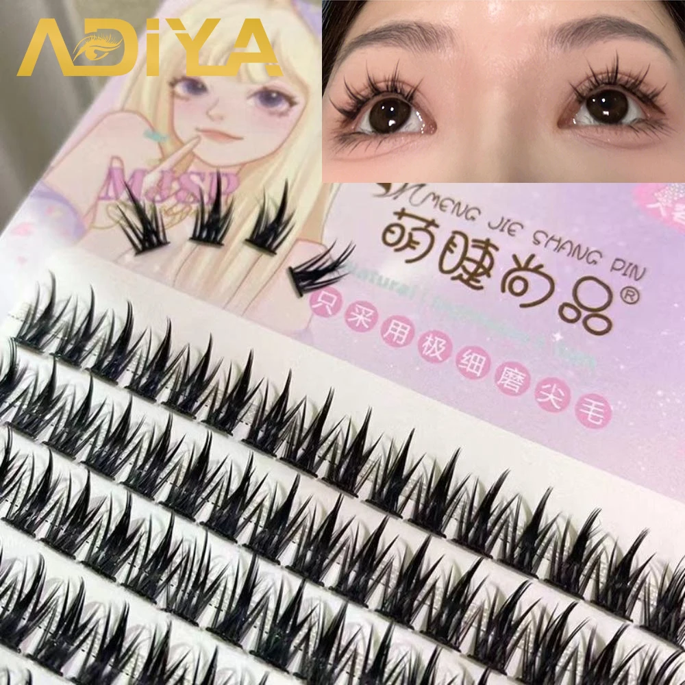 ADIYA Clusters Eyelash Extensions 10 Rows of Large Capacity Russian ...