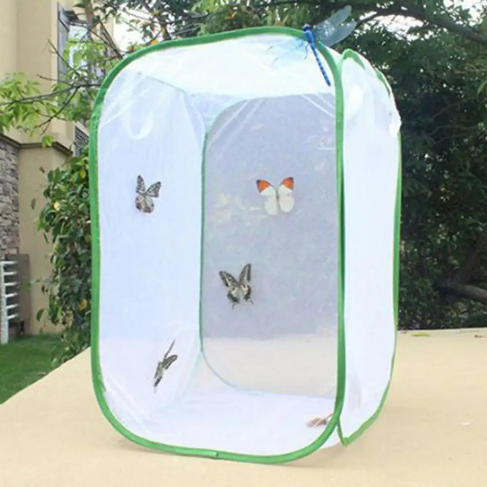 Butterfly-Mesh-Cage-Green-Collapsible-Insect-Cage-Insect-Habitat-Cage ...