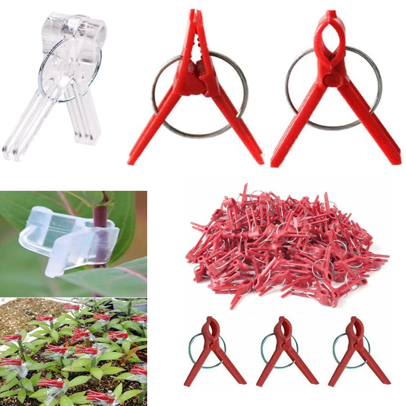 50 Durable Plastic Grafting Clamps, Garden Plant Support Clamps, Round ...