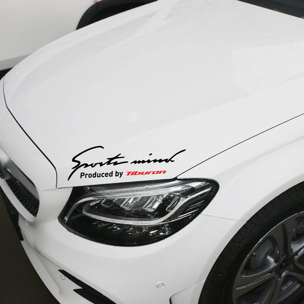 Hyundai Tiburon Decals Wheels Cover