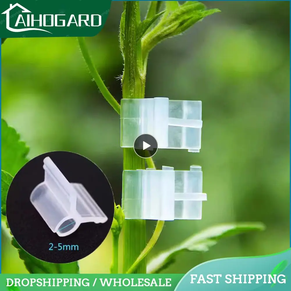 Store Home Products Summer Sale Feedback