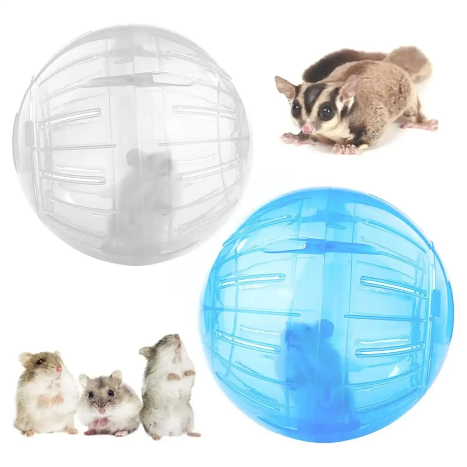 Outdoor-Sport-Ball-para-Pet-Pequeno-Grounder-para-Roedores-Ratos-Bolas-Exerc-cio-Hamster-Gerbil ...