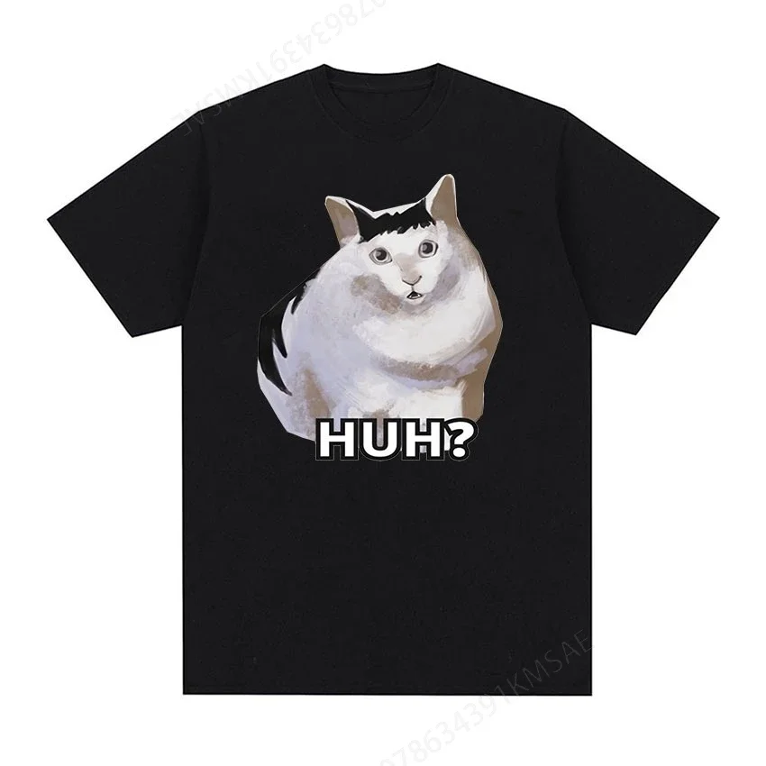 Everything You Need to Know About the Surprised Cat Meme and Its Pop ...