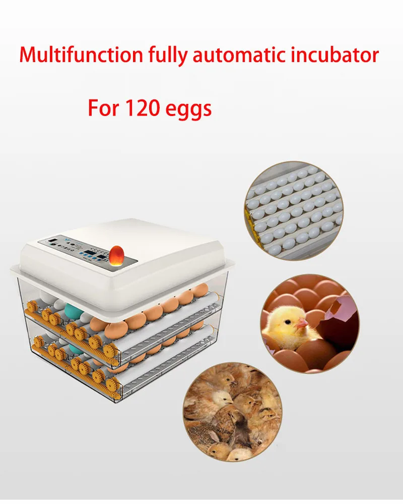 Incubadora-autom-tica-completa-de-120-huevos-m-quina-comercial-para-incubar-pollos-gansos-aves ...
