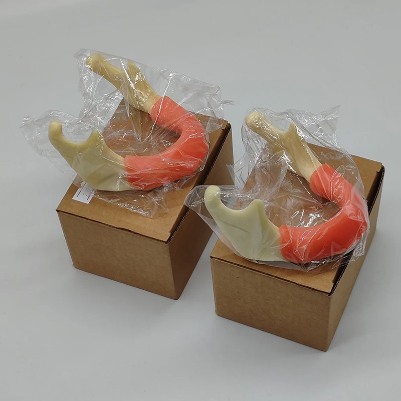 Dental-M2023-Drilling-Practice-Model-High-Quality-Dental-Implant ...