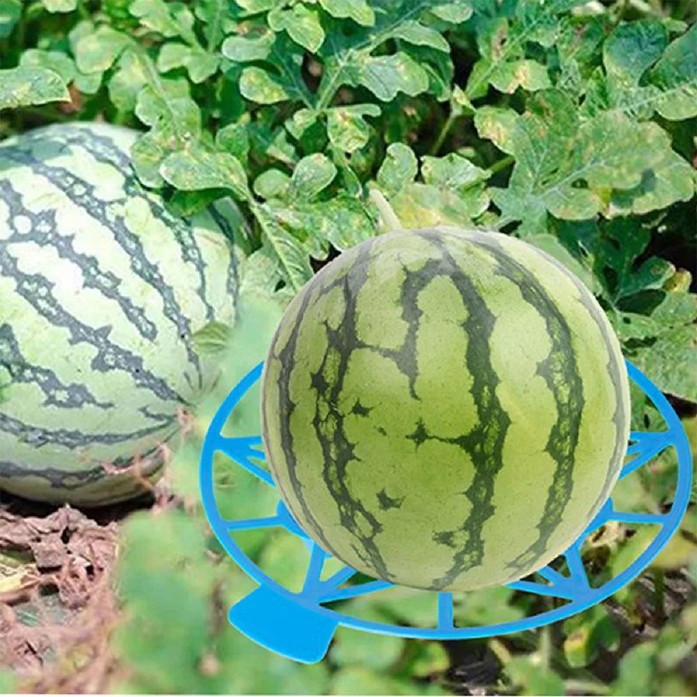 5/10Pcs Watermelon Support Holder Round Plant Supports Garden Vegetable ...