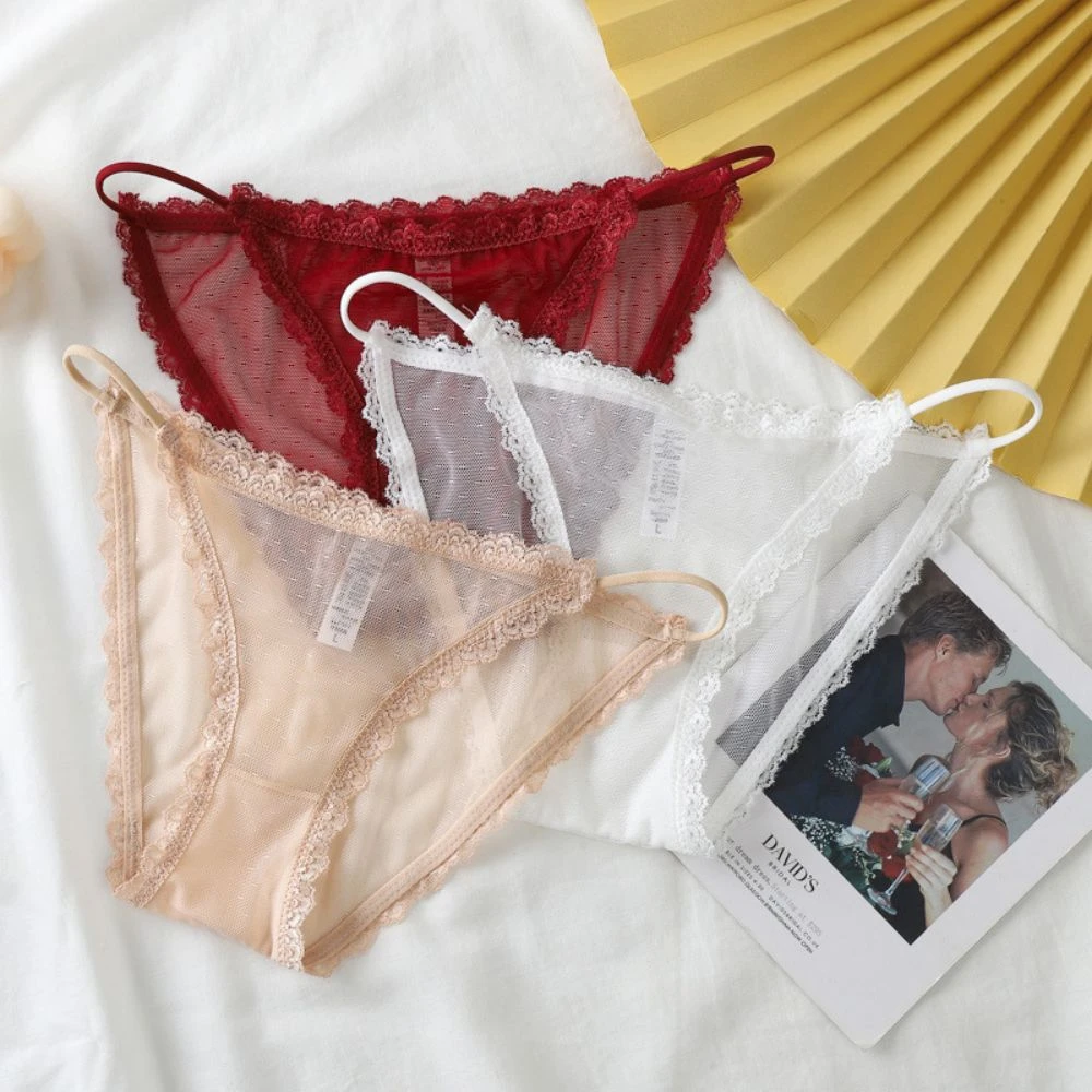 PassionLAB Lace Low Rise Mesh Briefs Culotte Sexy Ic Camasiri Kadin ...