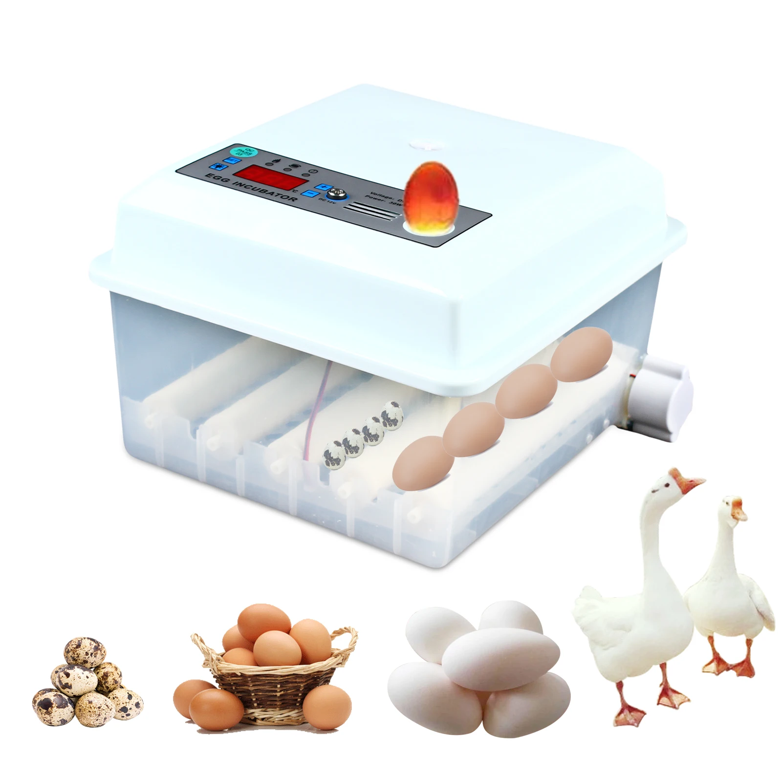 16-Eggs-Incubator-Intelligent-Hatch-Controller-Poultry-Hatching-Machine ...