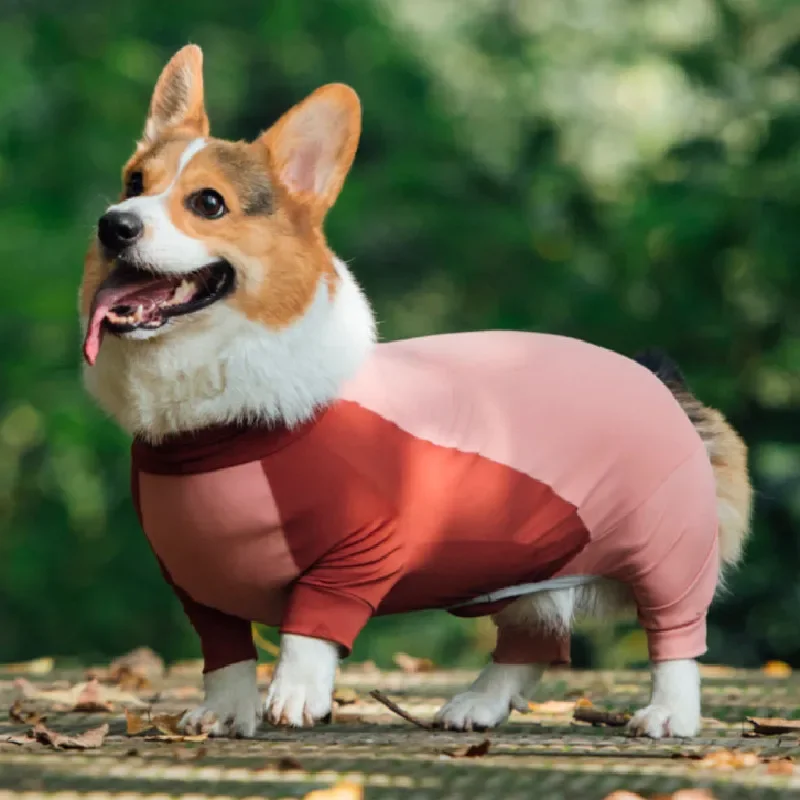 Welsh-Corgi-Dog-Clothes-Pajamas-Jumpsuit-Rompers-Welsh-Corgi-Pembroke ...