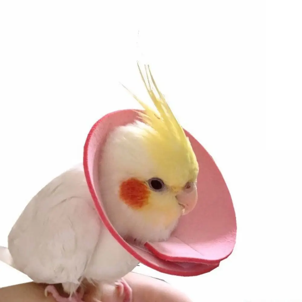 Parrot Neck Protective Collar Bird Neck Sleeve Elizabethan Circle Bird ...