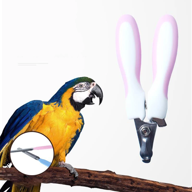 Bird Accessories Parrot Budgie Birds Toys Bird Supplies Pigeon ...