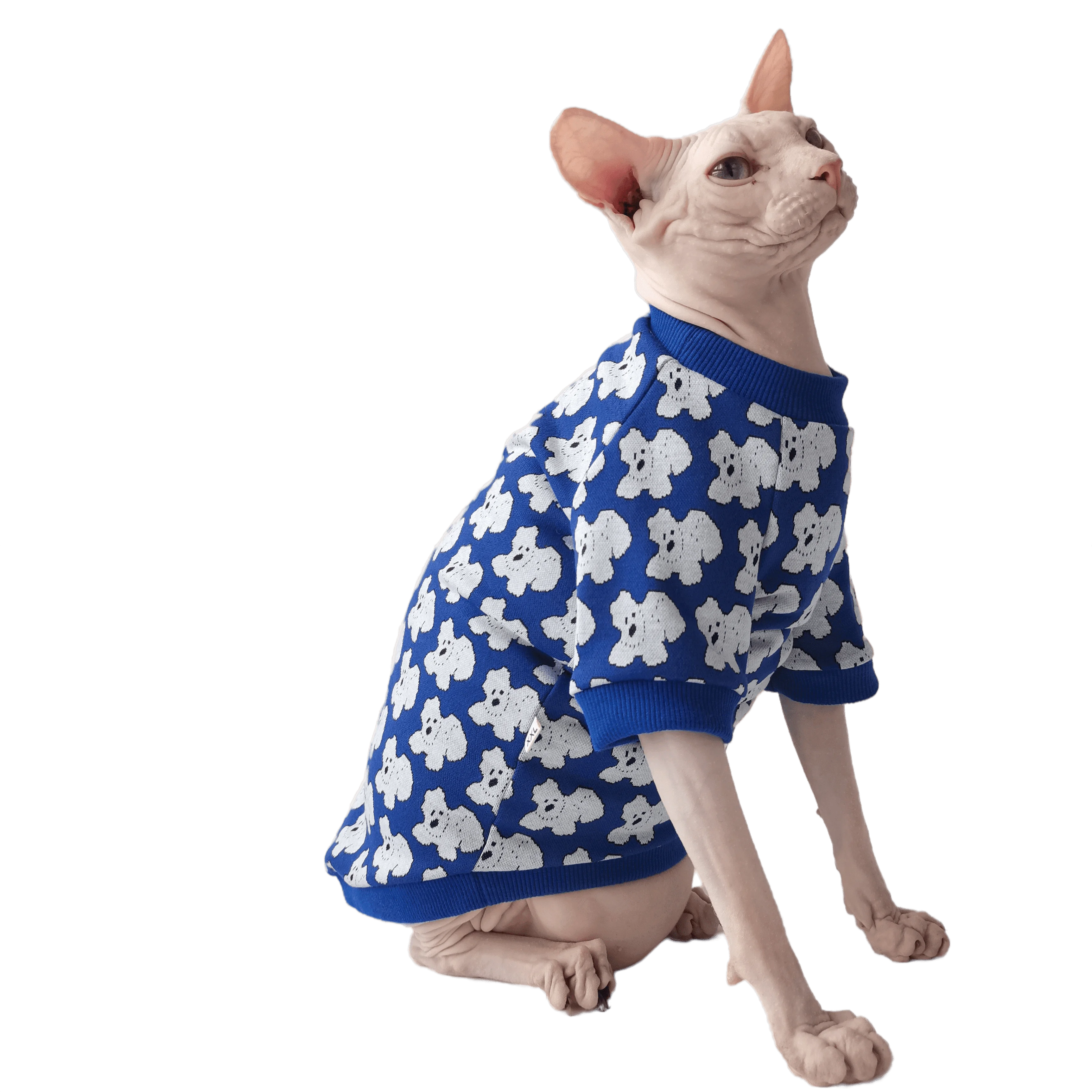 Sphinx ropa para gatos, trajes de gatito, suéter de gato de oso azul ...