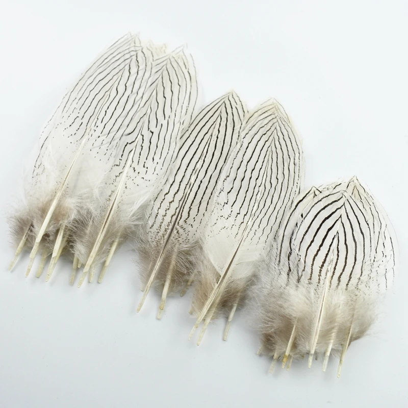 White Craft Feathers Pheasant | Dyed Silver Pheasant Feathers | Silver ...